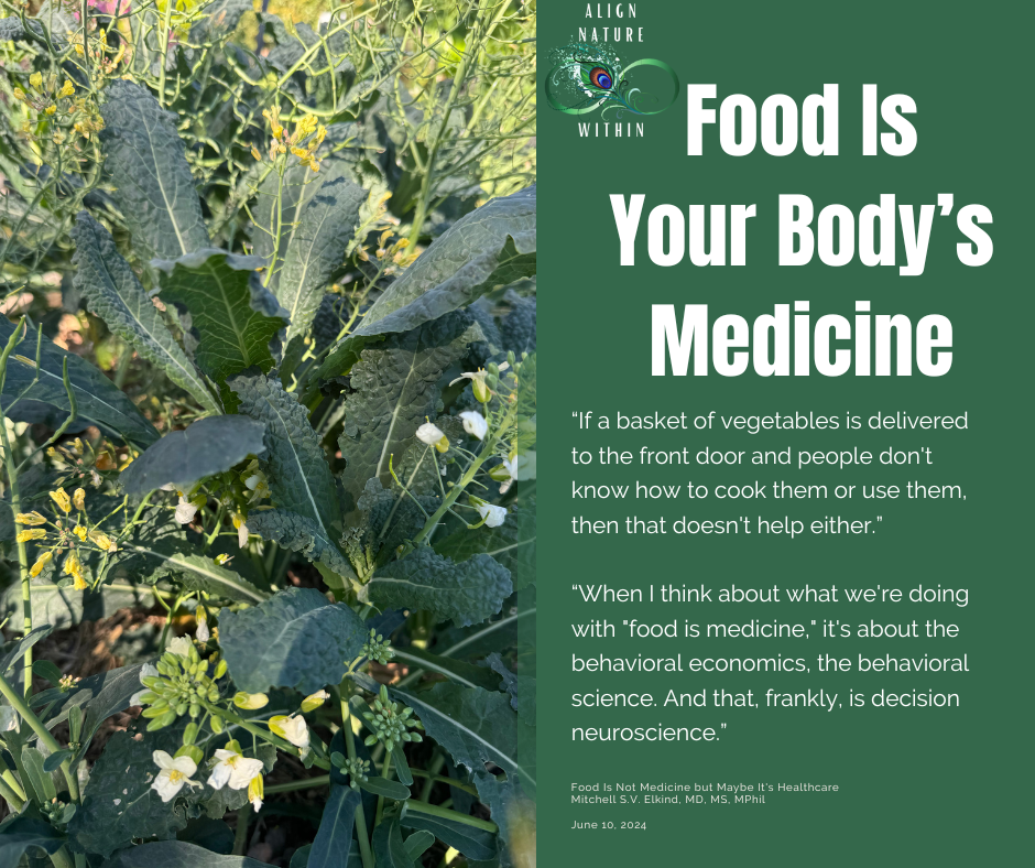 Food Is Medicine Or Slow Poison- or is it? - Michelle Crone Naturopath